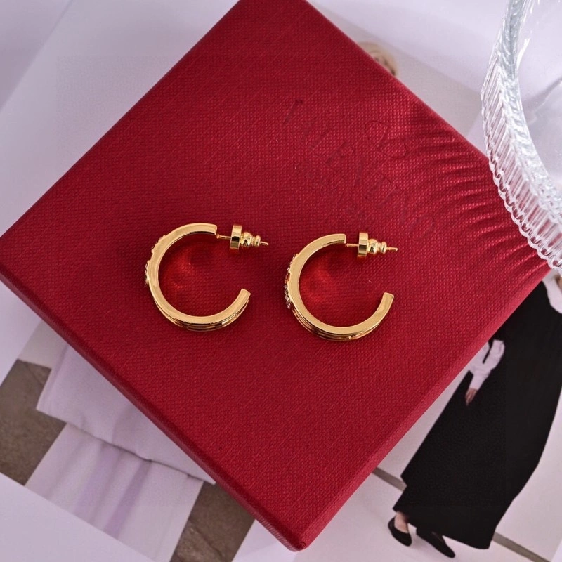 Genuine Valentino Earrings