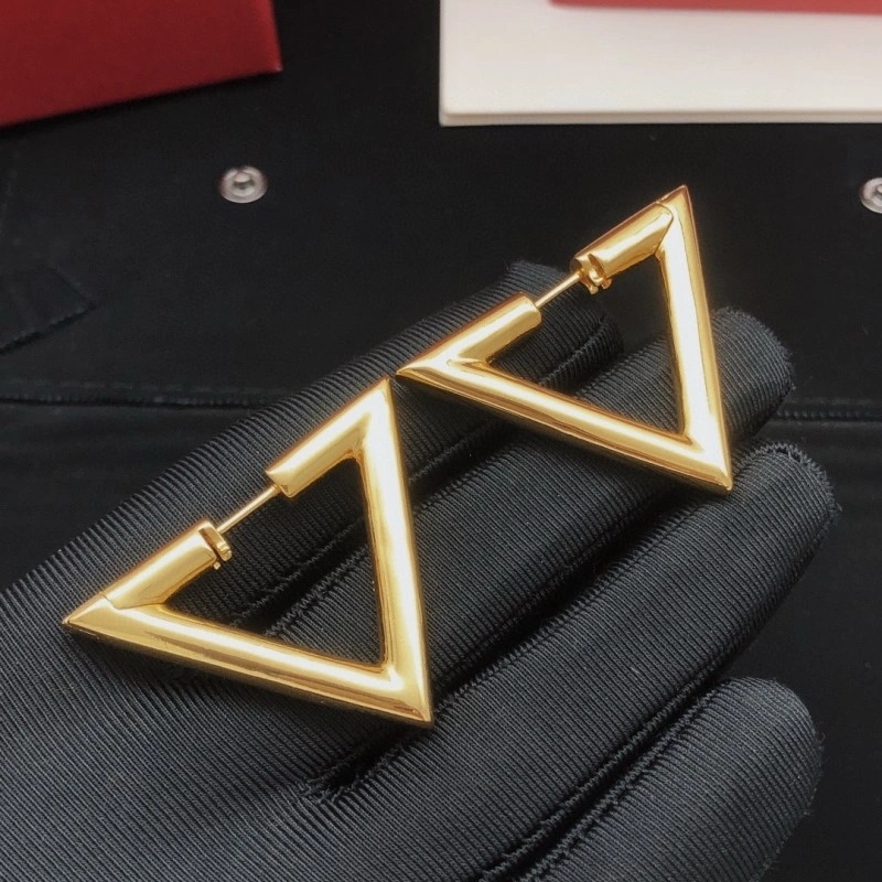 Budget-friendly Valentino Earrings