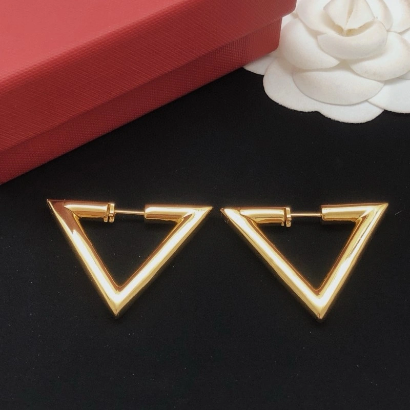 Budget-friendly Valentino Earrings