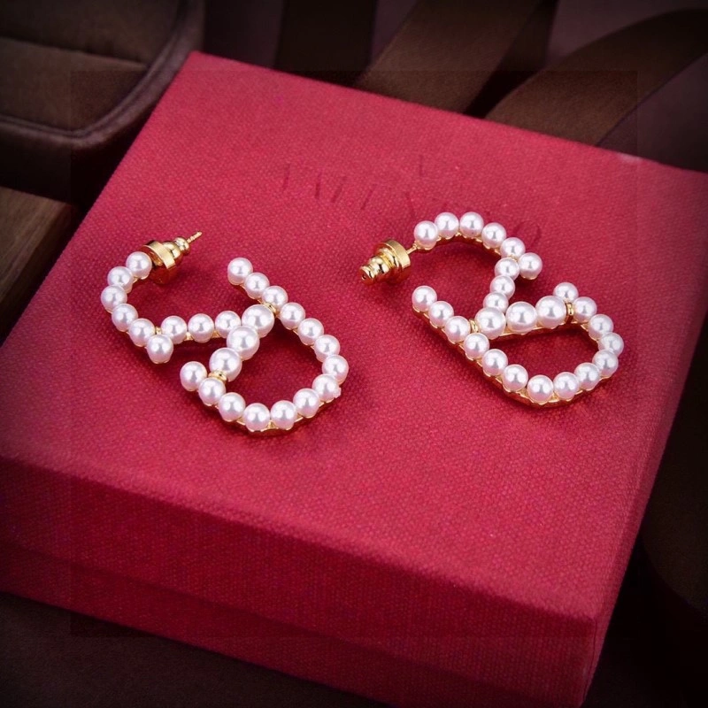 Inexpensive Valentino Earrings