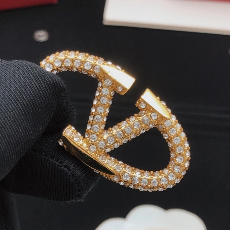 High accuracy Valentino Earrings