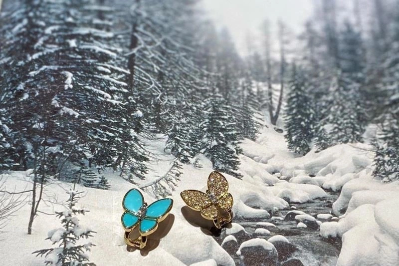 Value-priced Vca Earrings
