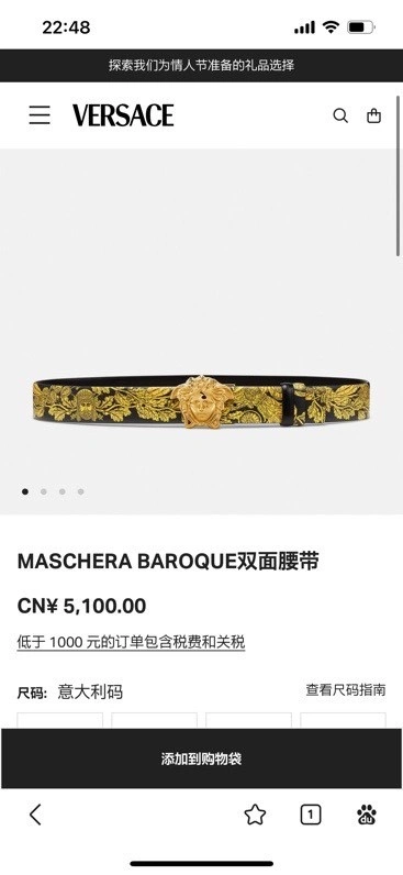 Reasonably priced Versace Belts