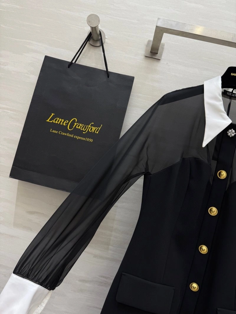 1:1 copy Versace Dress