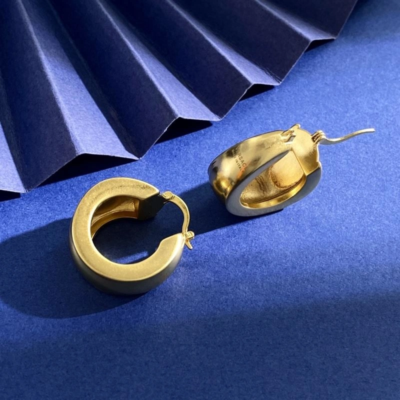 Exact replica Versace Earrings