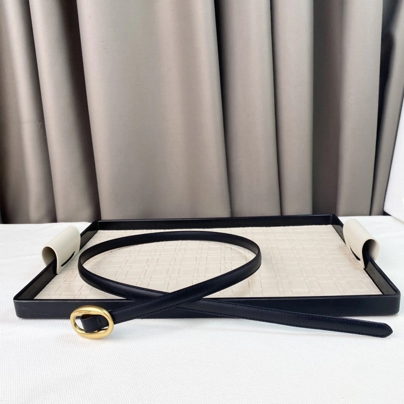 Low-cost YSL Belts