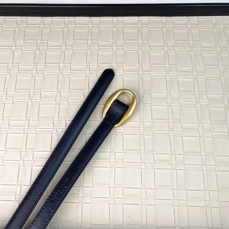 Low-cost YSL Belts