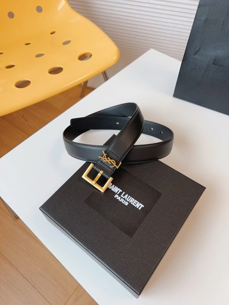 Economical YSL Belts