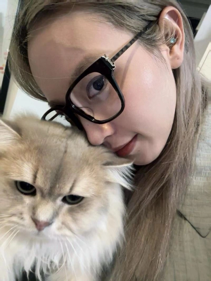 YSL Sunglasses