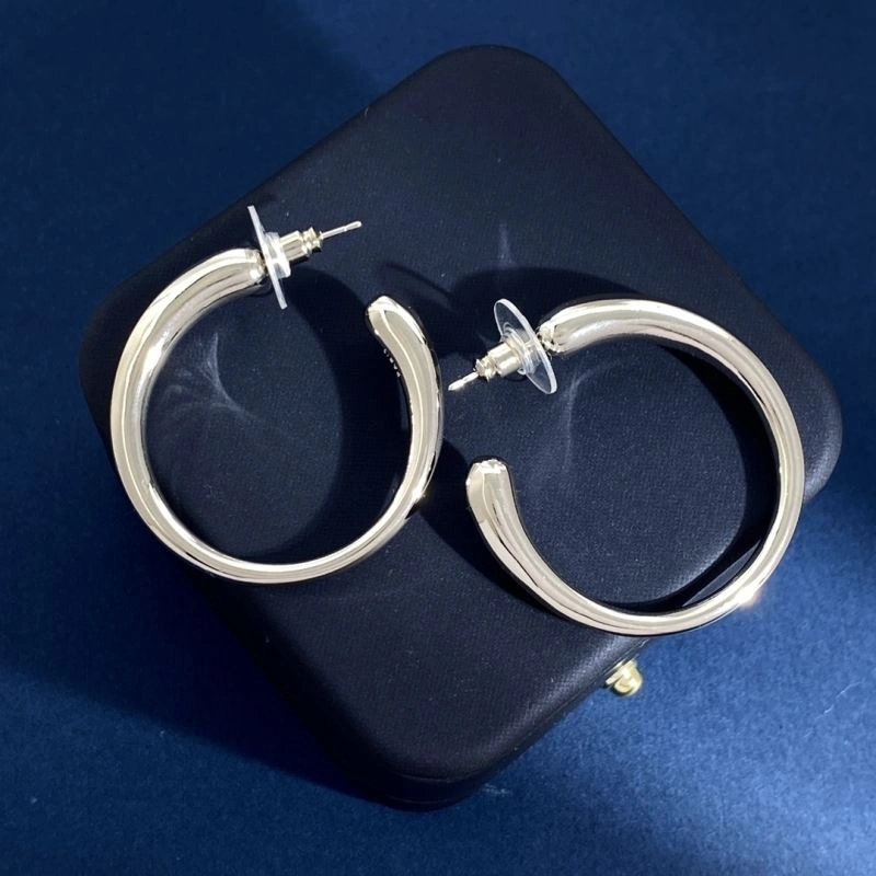 Value-priced Ysl Earrings