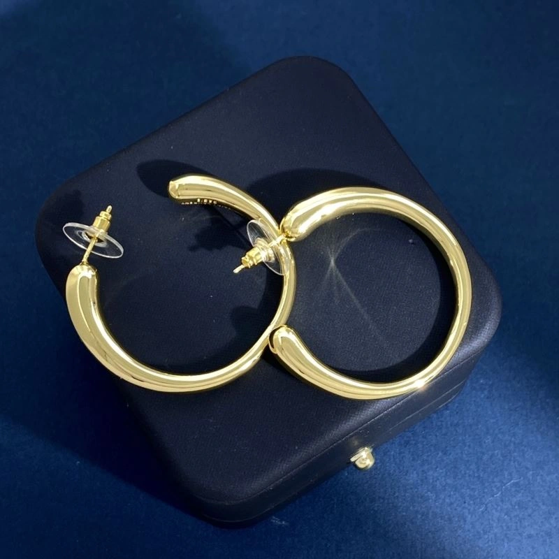 Value-priced Ysl Earrings