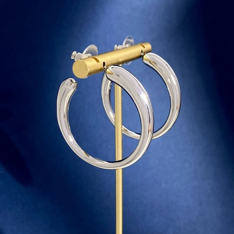 Value-priced Ysl Earrings