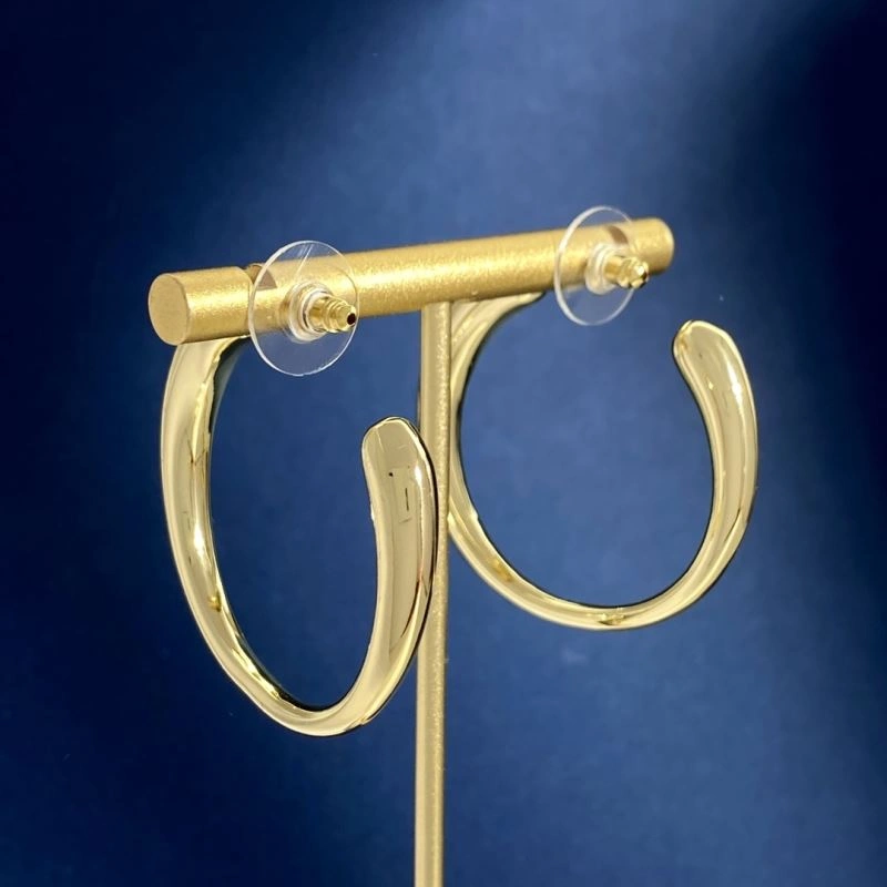 Value-priced Ysl Earrings