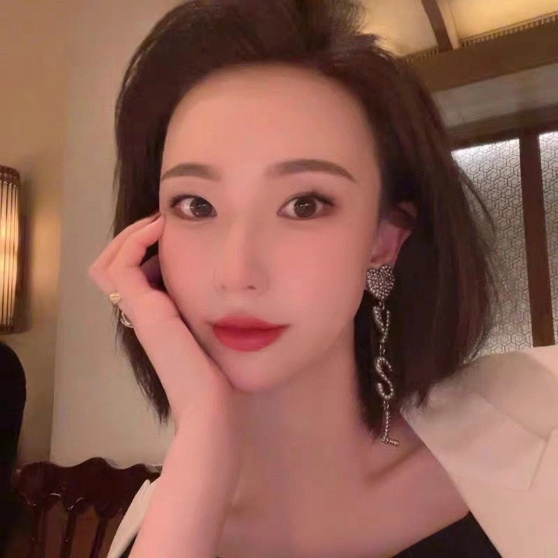 Official Ysl Earrings