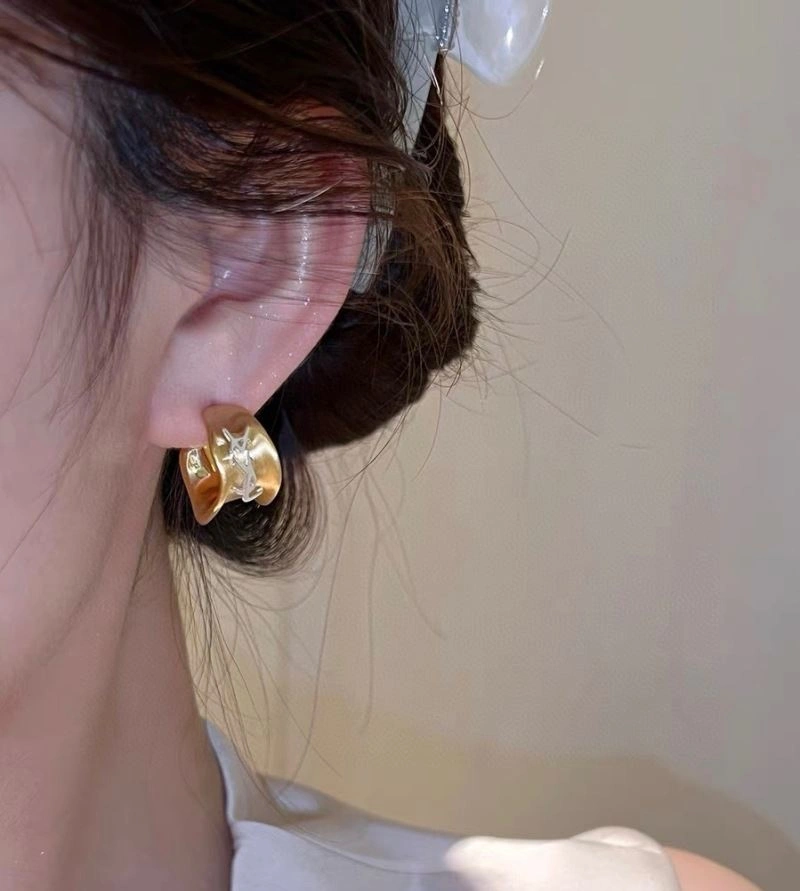 High fidelity Ysl Earrings