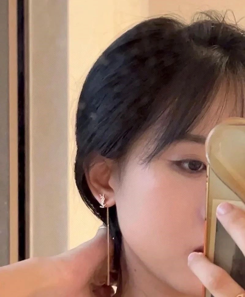 Factory-made Ysl Earrings