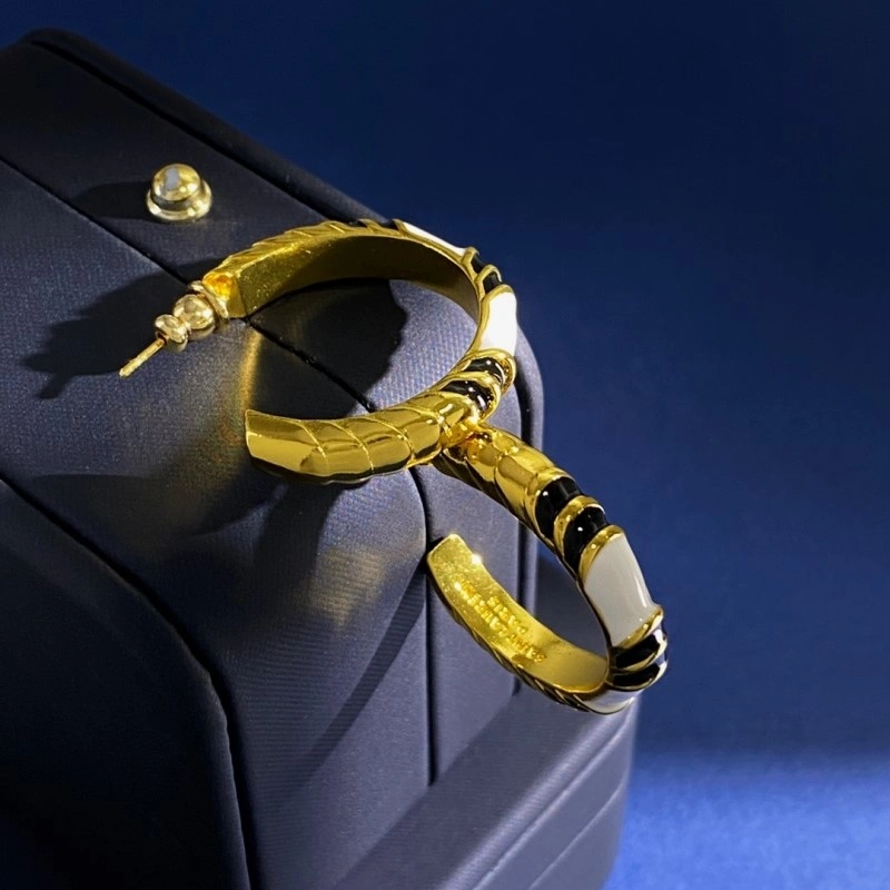 Legit Ysl Earrings