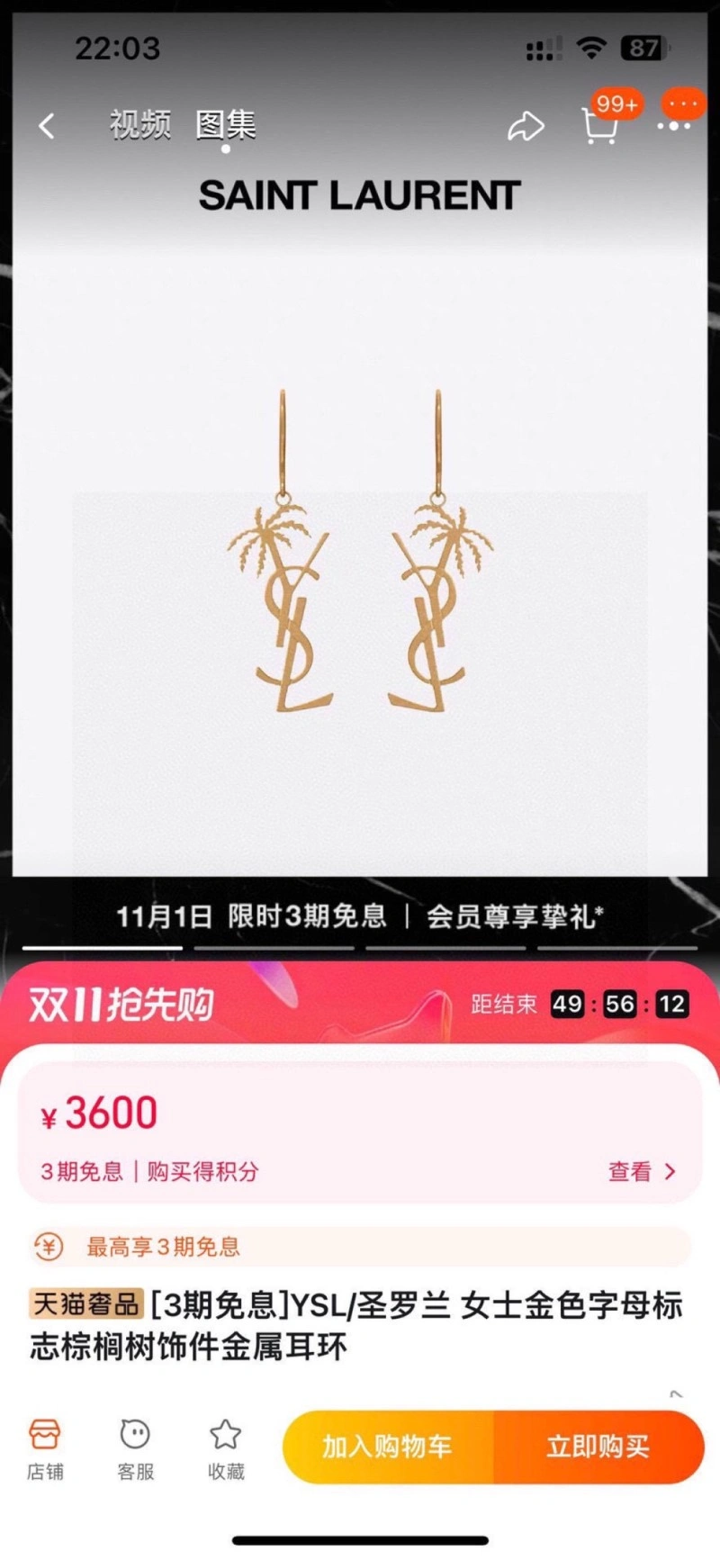 OEM Ysl Earrings