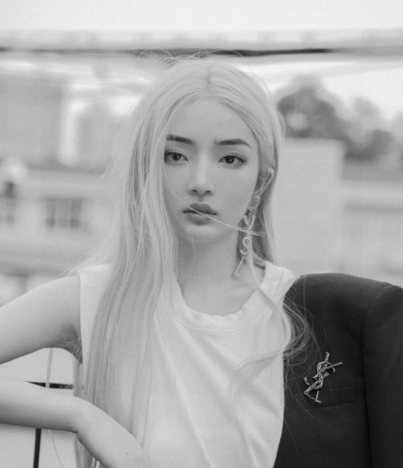 Low-cost Ysl Earrings