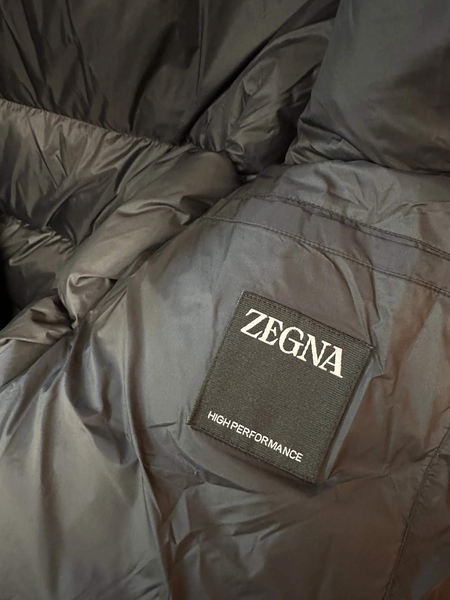High fidelity Zegna Down Jackets