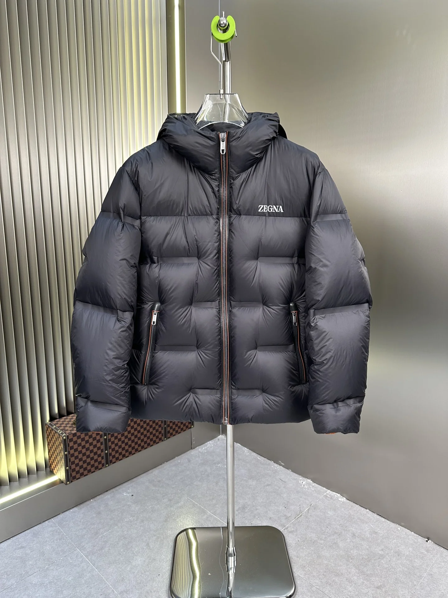 Inexpensive Zegna Down Jackets