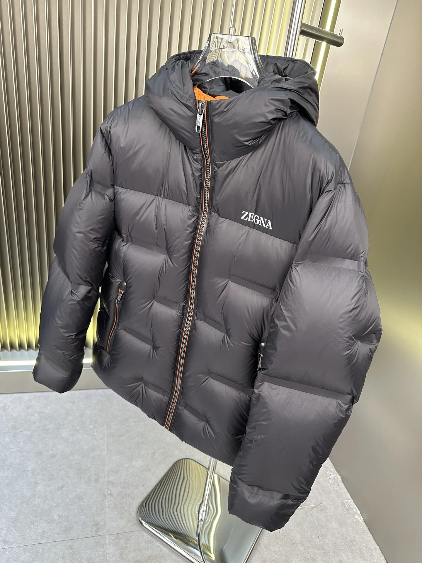 Inexpensive Zegna Down Jackets