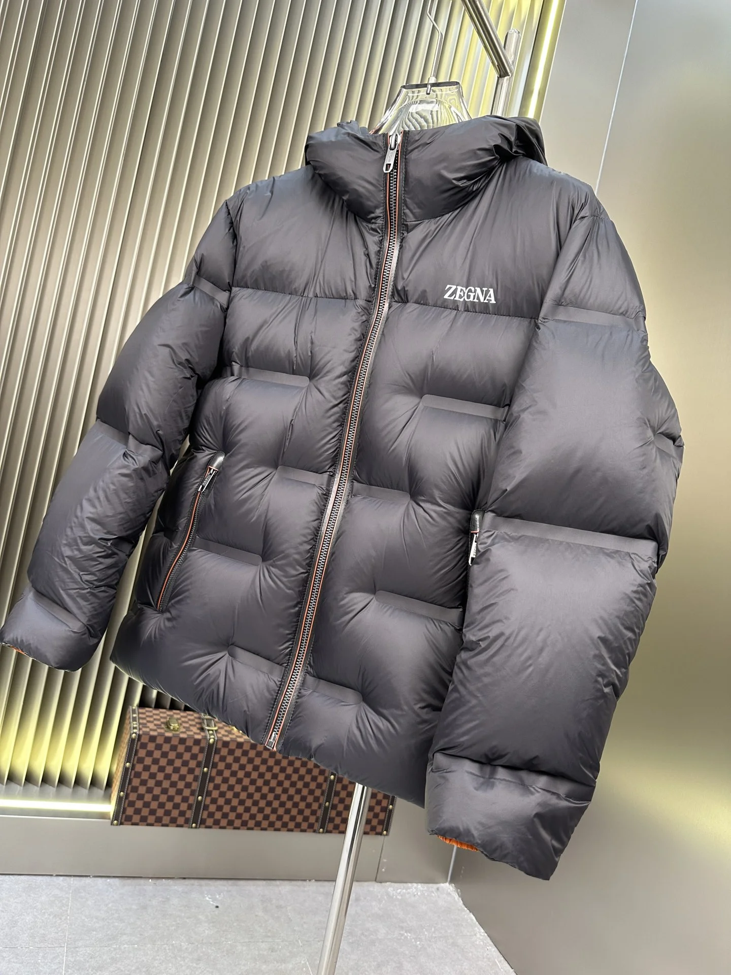 Inexpensive Zegna Down Jackets