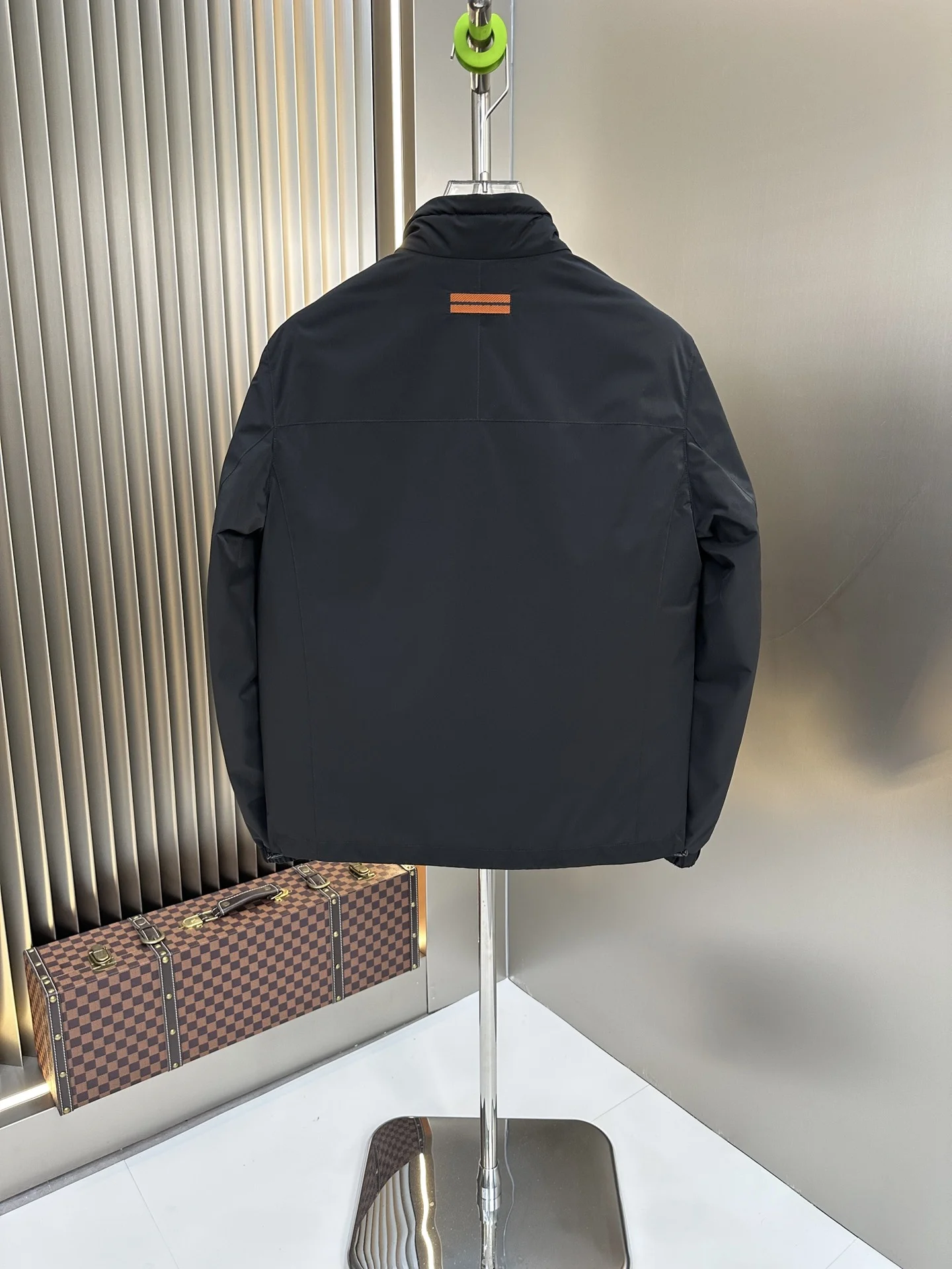 Indistinguishable Zegna Down Jackets