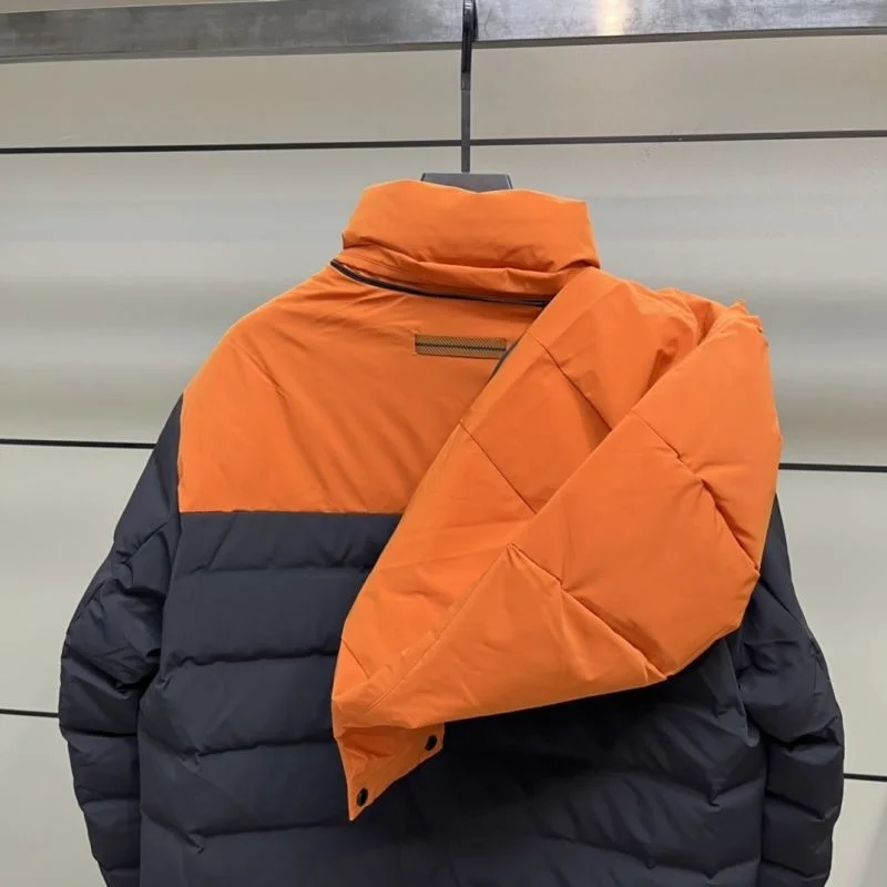 Precise copy Zegna Down Jackets