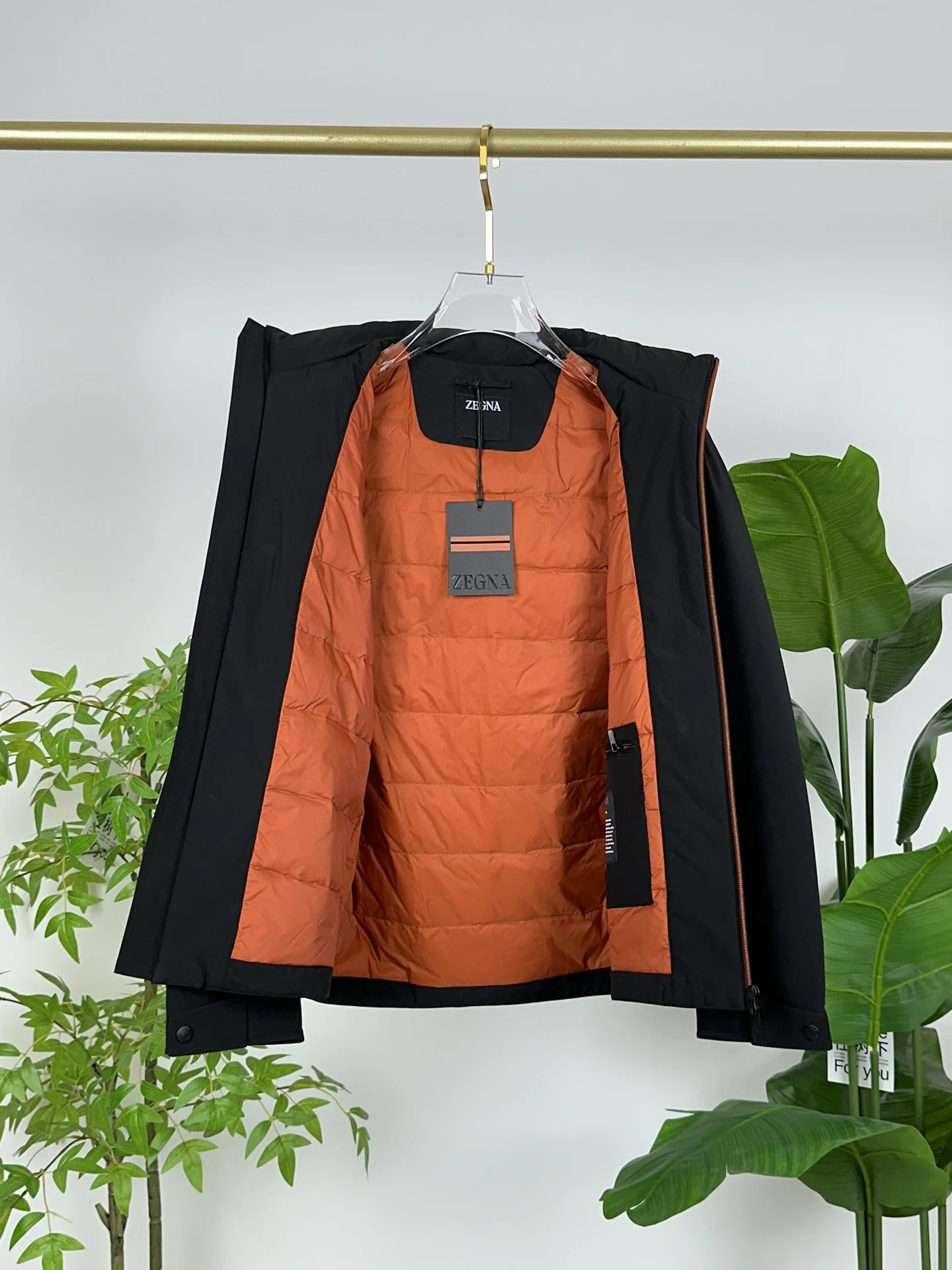 Reasonably priced Zegna Down Jackets