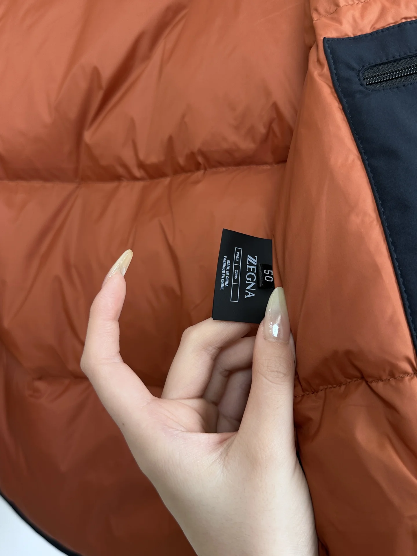 Indistinguishable Zegna Down Jackets
