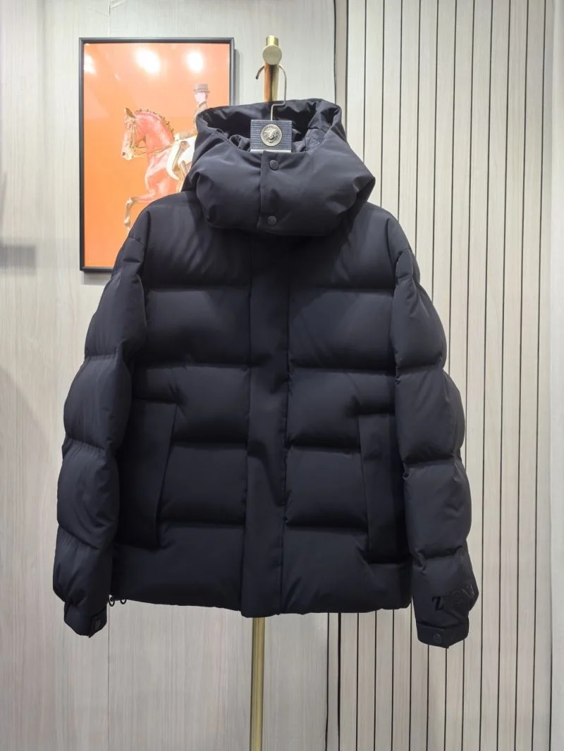 Inexpensive Zegna Down Jackets