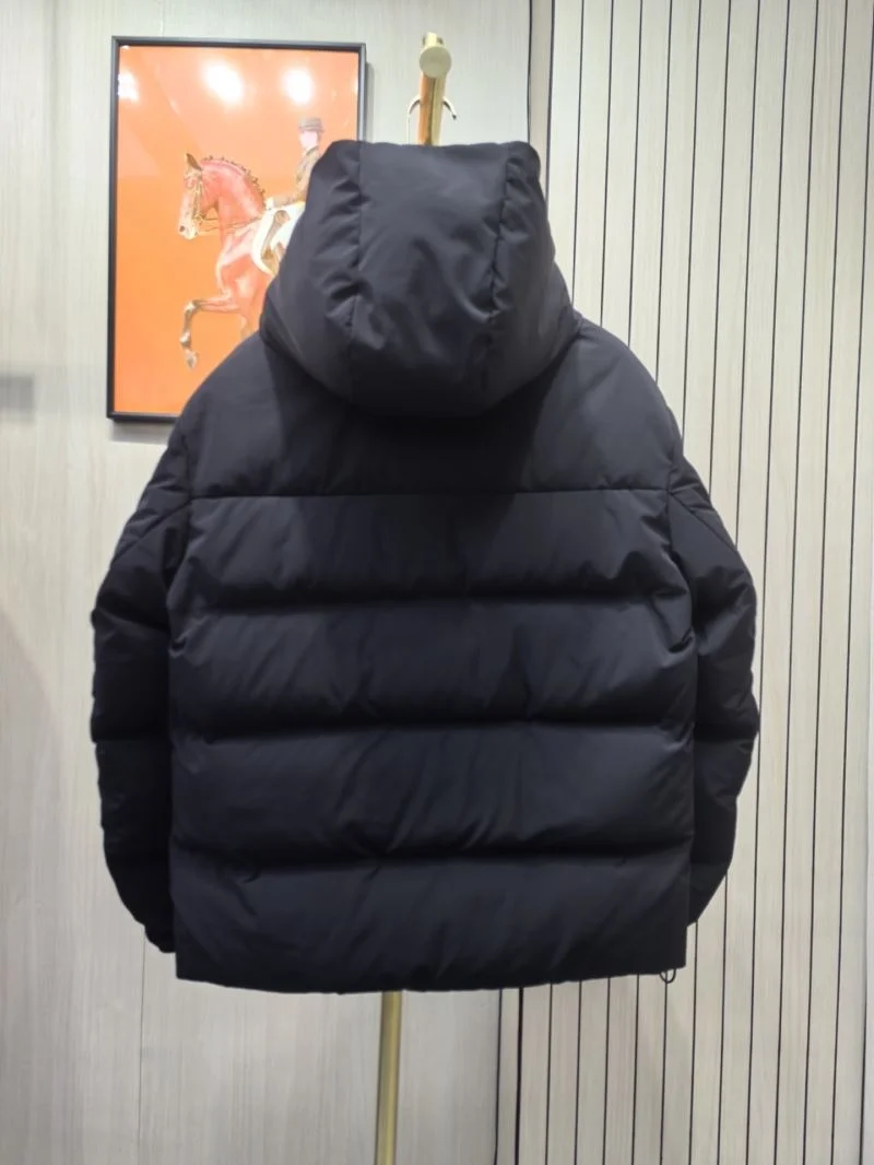 Inexpensive Zegna Down Jackets