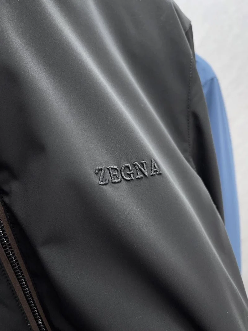 Inexpensive Zegna Down Jackets