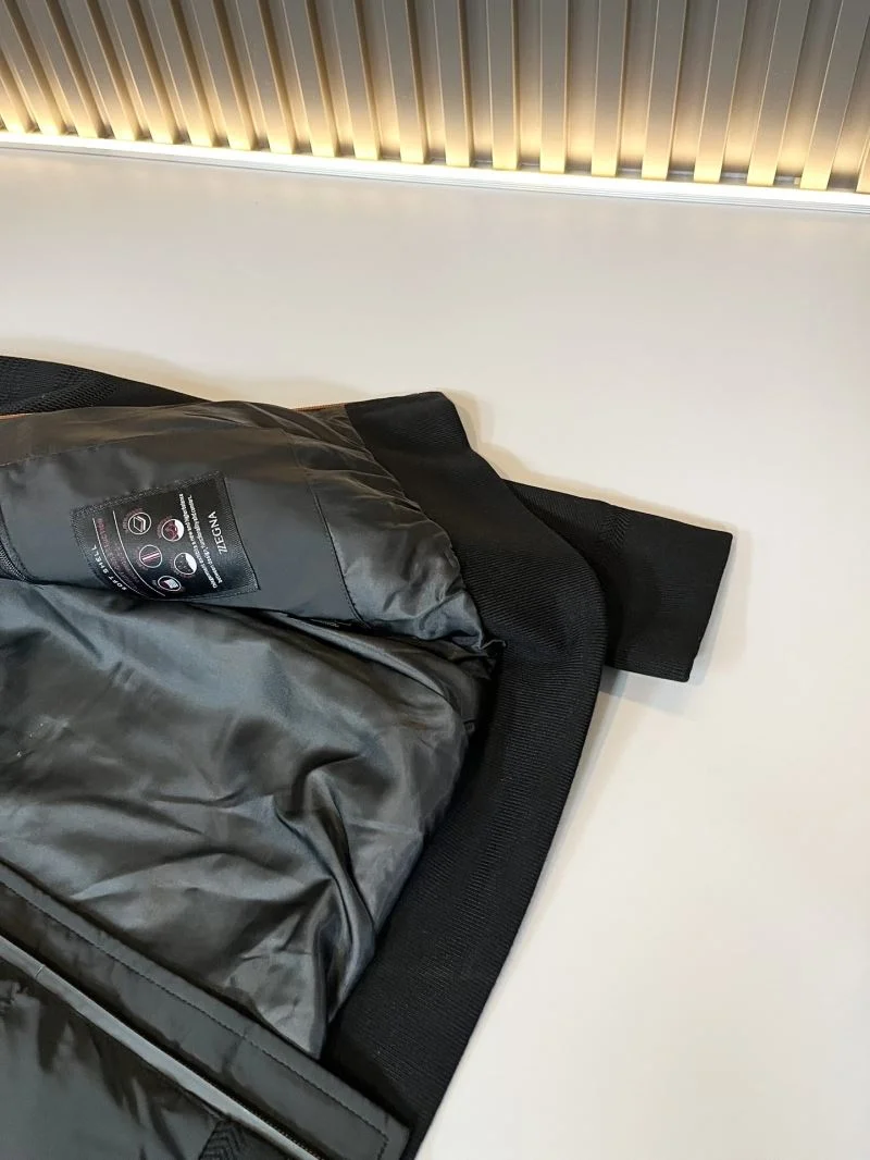 Mirror quality Zegna Down Jackets