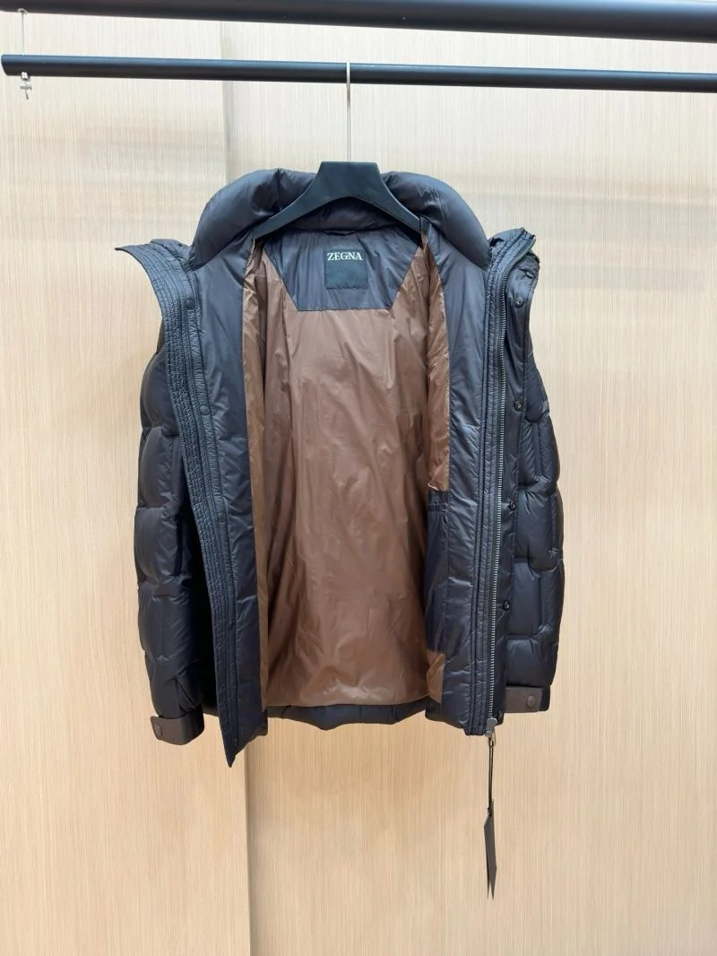 Reasonably priced Zegna Down Jackets