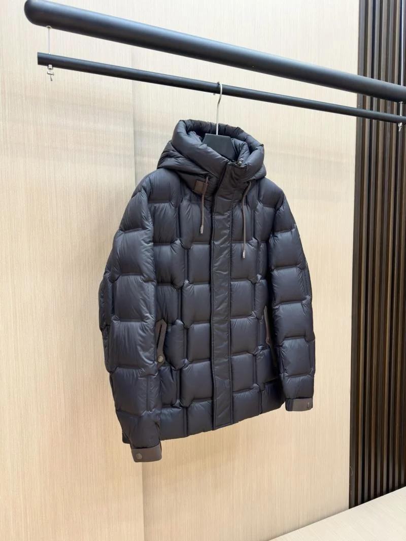 Reasonably priced Zegna Down Jackets