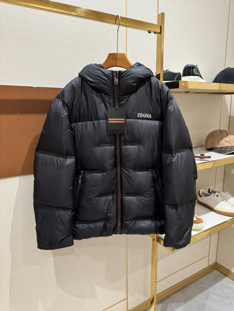 Reasonably priced Zegna Down Jackets