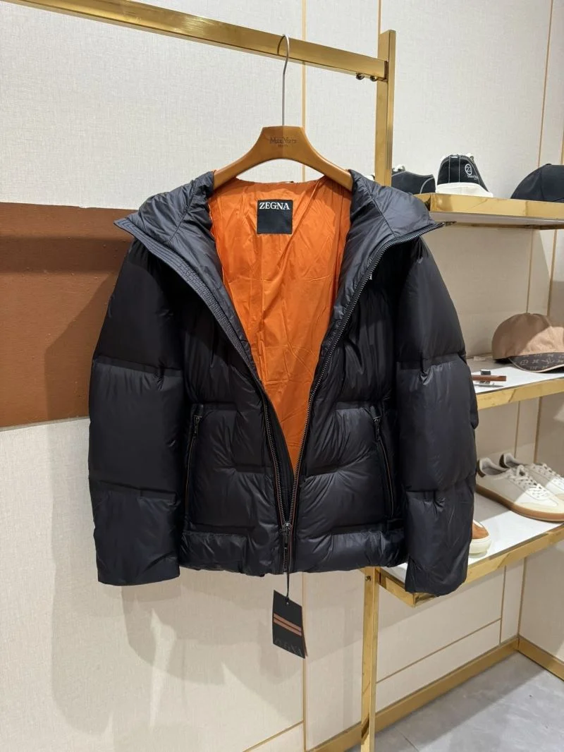 Reasonably priced Zegna Down Jackets