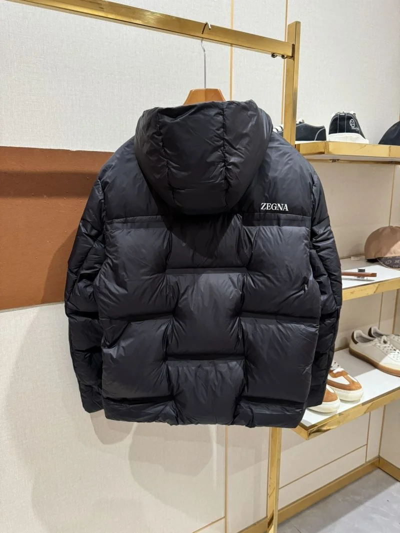 Reasonably priced Zegna Down Jackets