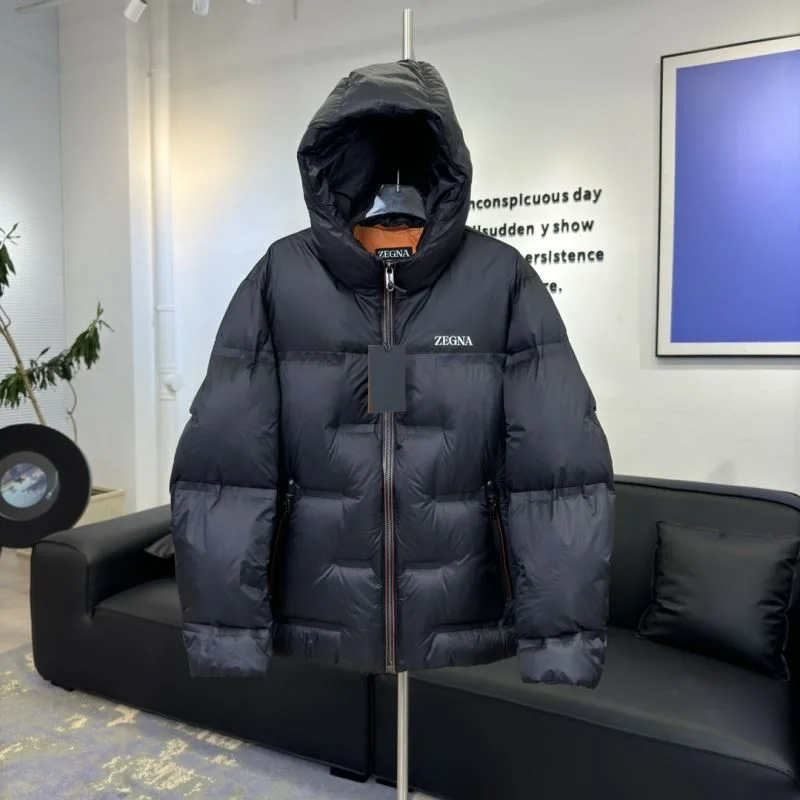 Perfect replica Zegna Down Jackets