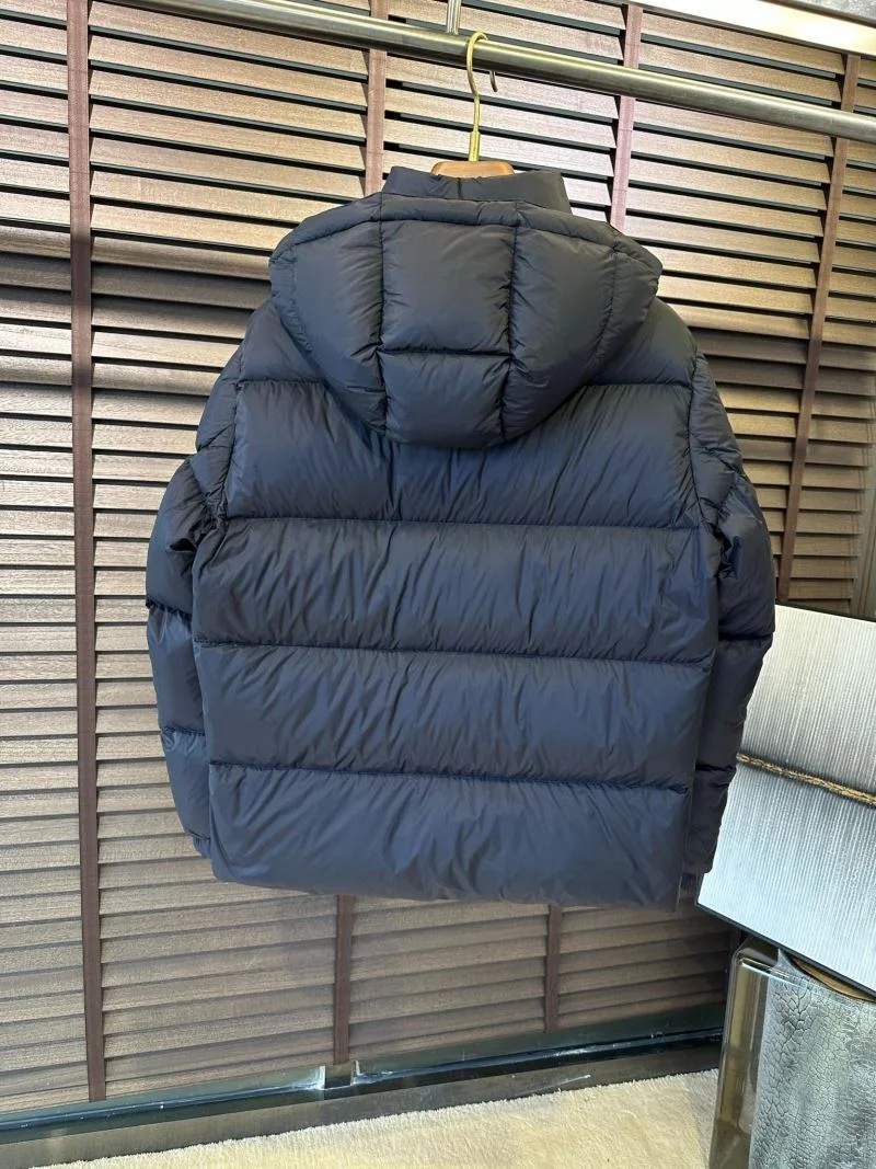 Affordable Zegna Down Jackets