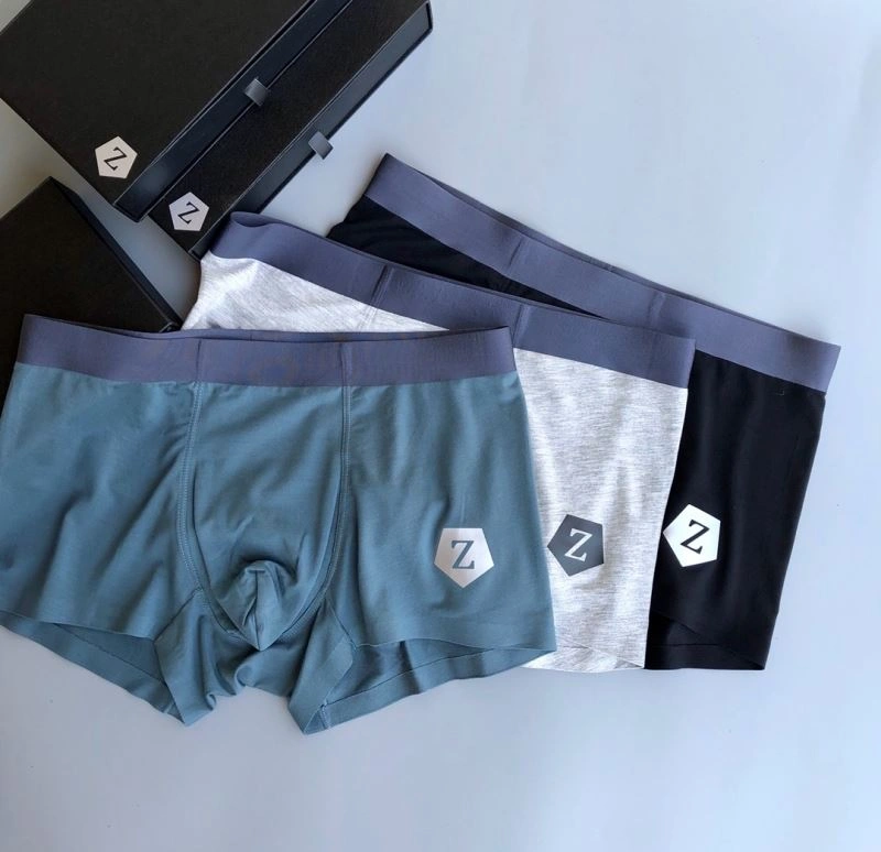 Precise copy Zegna Underwear