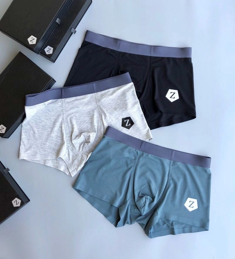 Precise copy Zegna Underwear