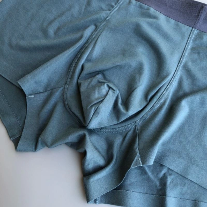 Precise copy Zegna Underwear