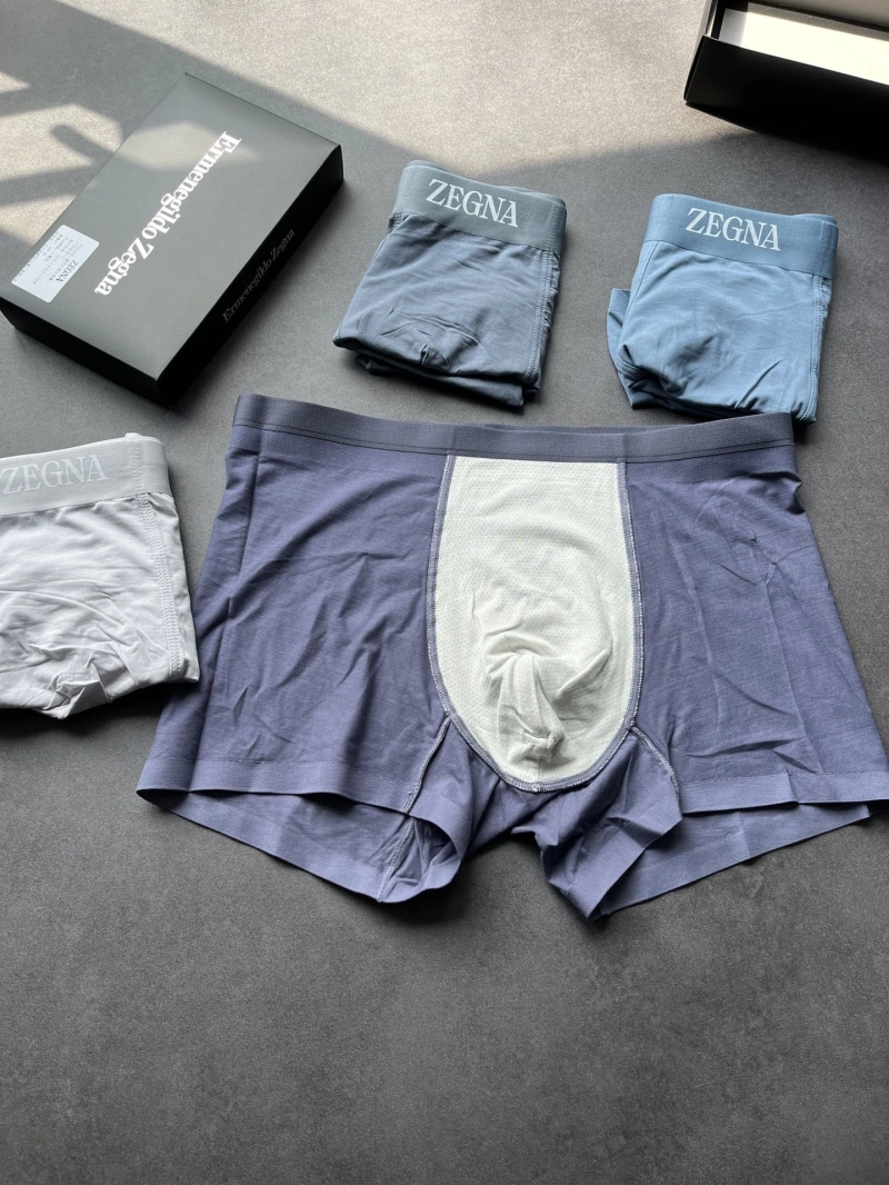 Inexpensive Zegna Underwear
