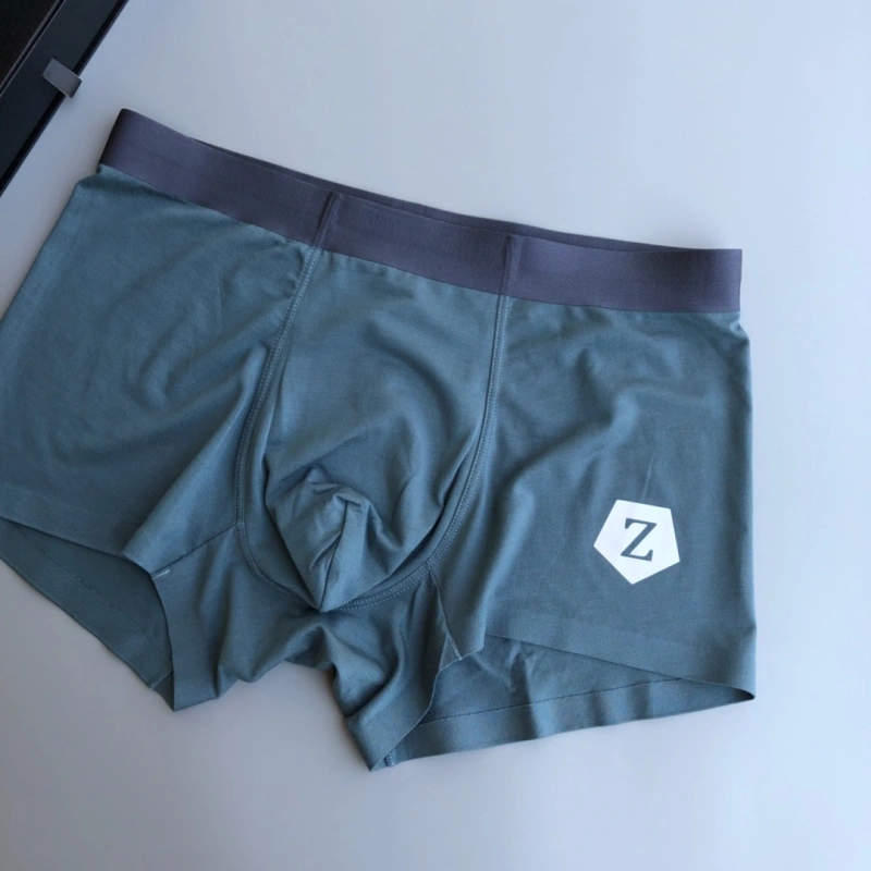 Economical Zegna Underwear