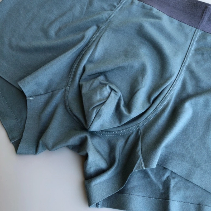 Economical Zegna Underwear