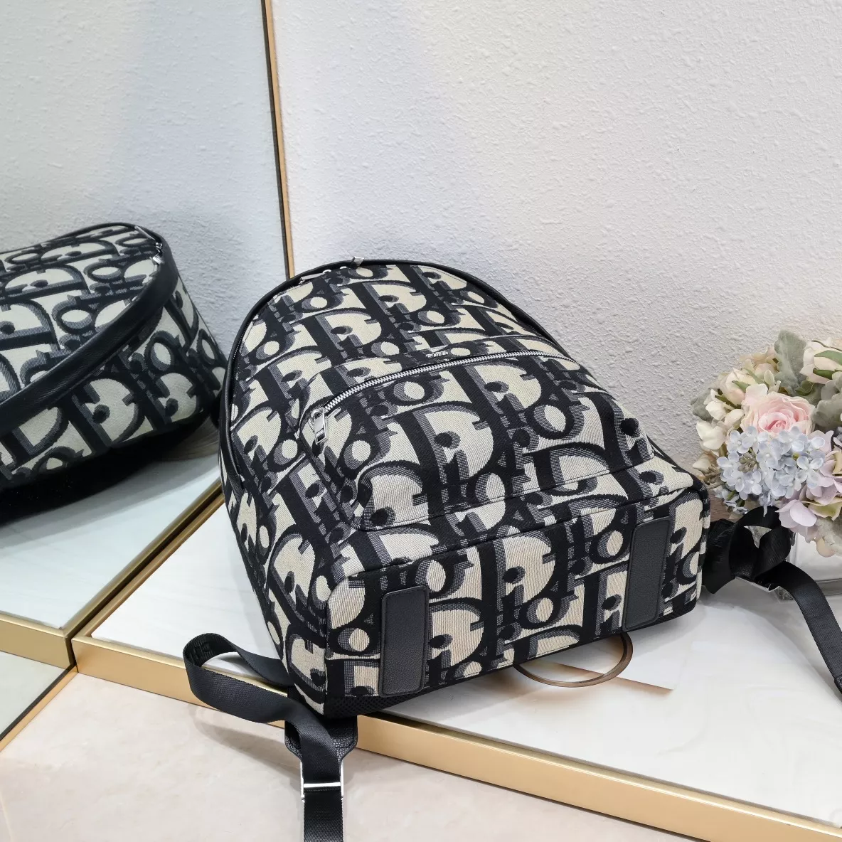 Discounted Christian Dior AAA Quality Backpacks For Unisex Bright 3881