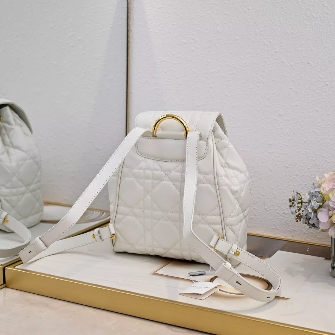 1:1 copy Christian Dior AAA Quality Backpacks For Women Resilient 5216